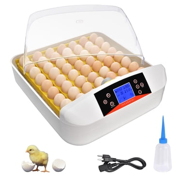 Ovation 28 Advance automatic egg incubator with humidity display ...