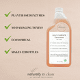 Naturally It's Clean Multi-Surface Kit – 1 Ready-to-Use (24 oz) & 1 ...