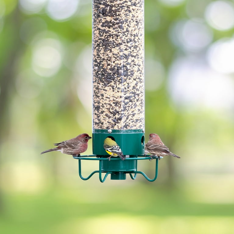Droll Yankees Flipper Squirrel-Proof Tube Bird Feeder Green