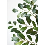 Silk Italian Ruscus Stem - 26" Tall - Walmart.com