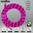 Wintergreen Lighting 18 ft Purple Rope Light Kit, 216 Incandescent ...