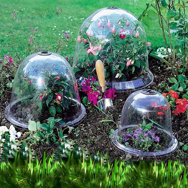 Large Plastic Garden Cloche | Fasci Garden