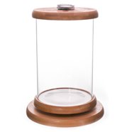 Back to the Roots 3 Gal. Self-Cleaning Aquaponic Water Garden Fish Tank ...