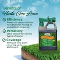 Medina Natural Lawn Food Fertilizer 12-4-8, Ready-to-Spray for Yard ...