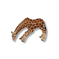 ZAGA Toys Graceful Giraffe Pair Figurine Set - Walmart.com