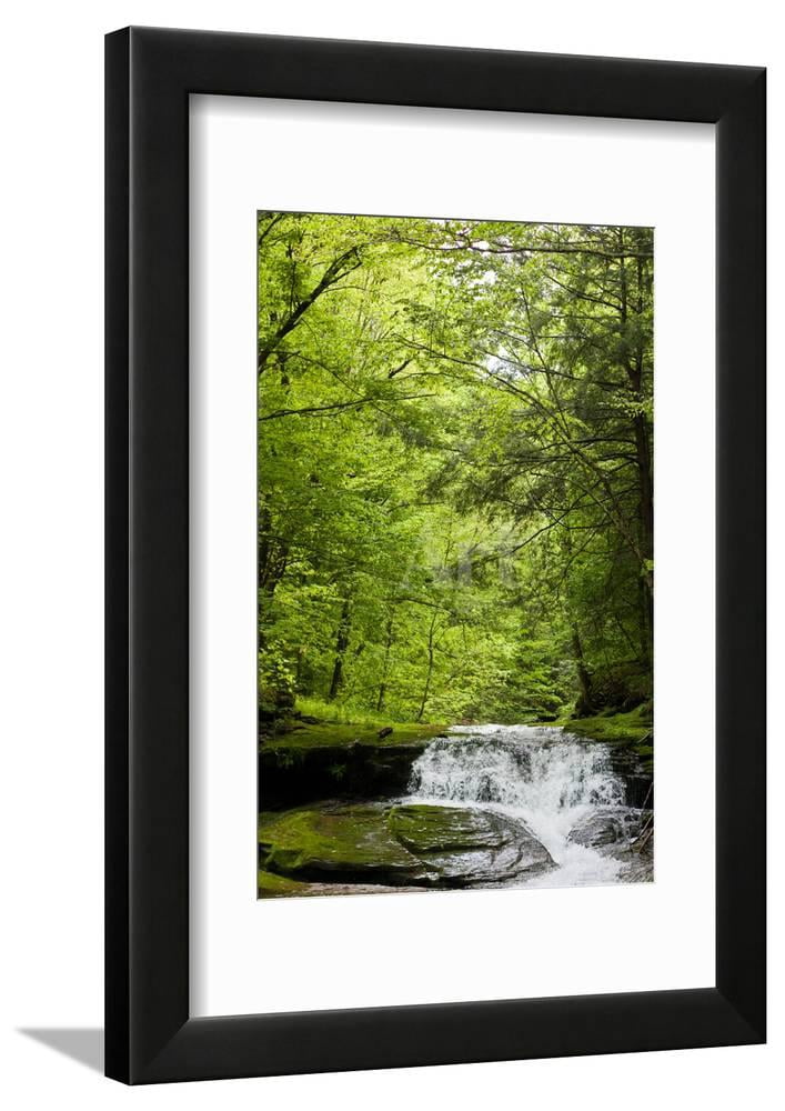 Hidden Waterfall Photo Print Poster Framed Print Wall Art Sold by Art ...