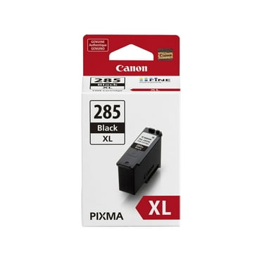 Canon PG-245 XL High Yield Black Ink Cartridges, 2-Pack, 300 Pages ...