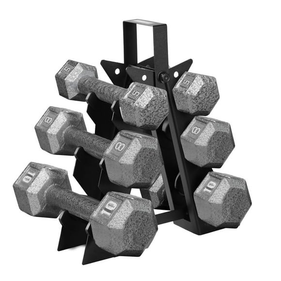 10 lb Dumbbell Sets
