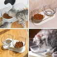 Double Elevated Cat Bowls with Raised Stand, 15 tilted cat bowl Design ...