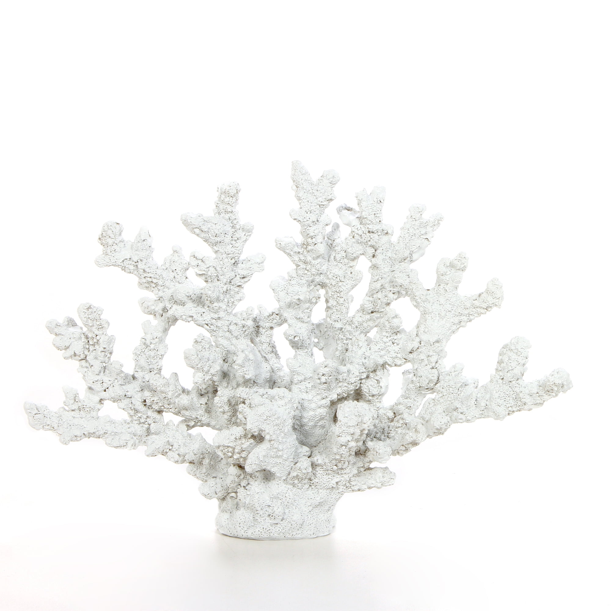 Decorative Tabletop Sculpture Coral Shell - Walmart.com
