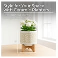Ceramic Planter with Bamboo Wood Stand – Modern Stoneware Plant Pot ...