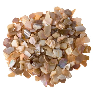 100 Pcs Round Flat Capiz Seashell Blank Discs 1 1/4" - Walmart.com