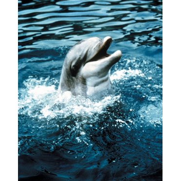 Brady Right To Know Poster,22inx26in,Plastic 53202 - Walmart.com