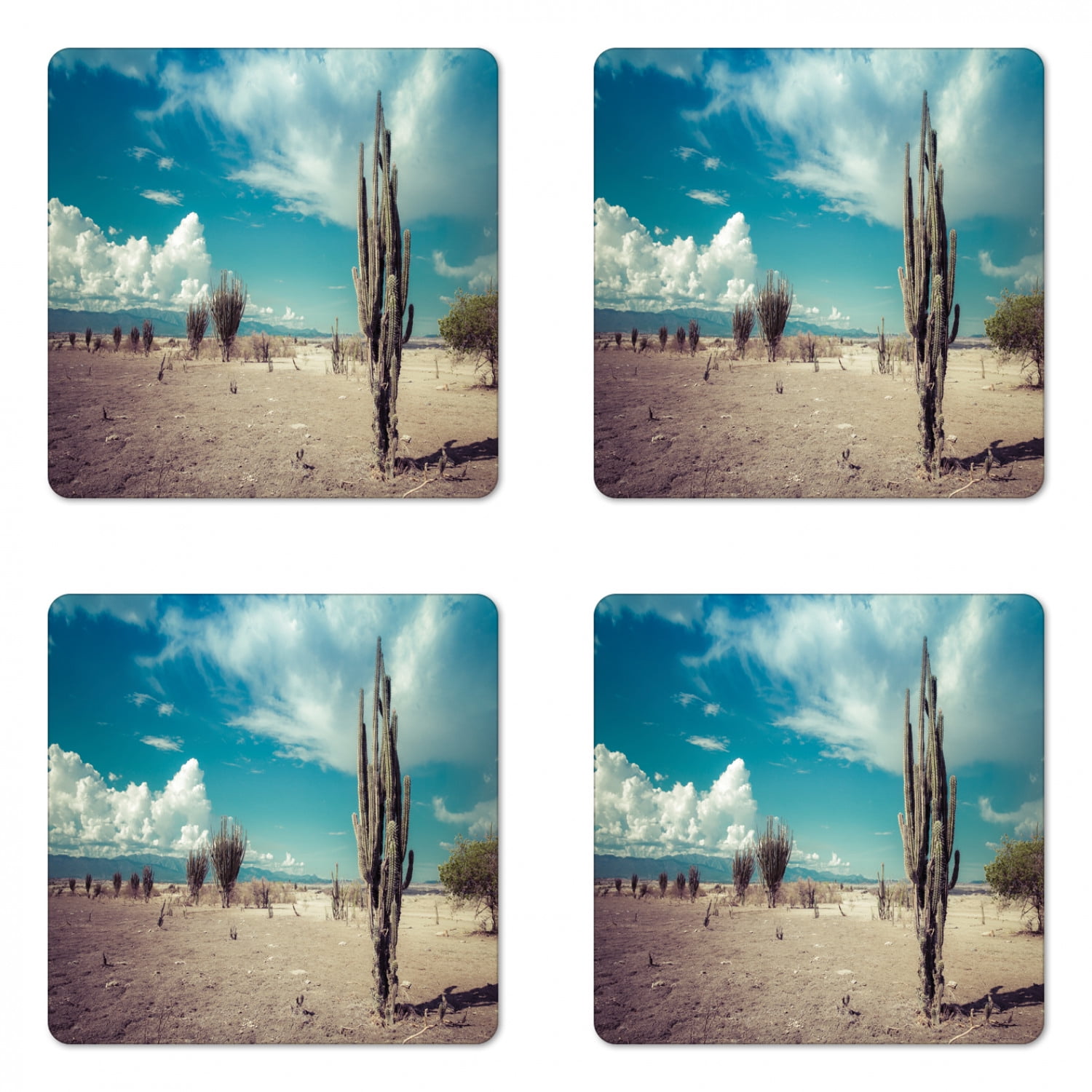 Cactus Coaster Set of 4, Abandoned Desert with Dried Cactus Flowers on ...