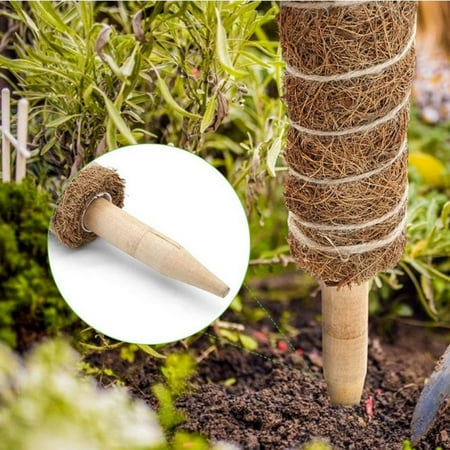 Plant Climbing Pole Plant Support Creeper Potting Extension Stick Plant ...