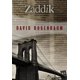 Zaddik (Paperback) - Walmart.com