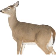 Primos Hunting Scar Deer Decoy, Realistic Movement, Quiet Transport ...