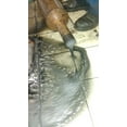 MotorPower Care DPF Flush Liquid: Cleaner, Soak Filter - Clean Solution ... MotorPower Care DPF Flush Liquid: Cleaner, Soak Filter - Clean Solution ...