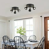 3-Light Industrial Directional Track Lighting, Adjustable Round Ceiling ...
