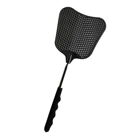 Giant Fly Swatter