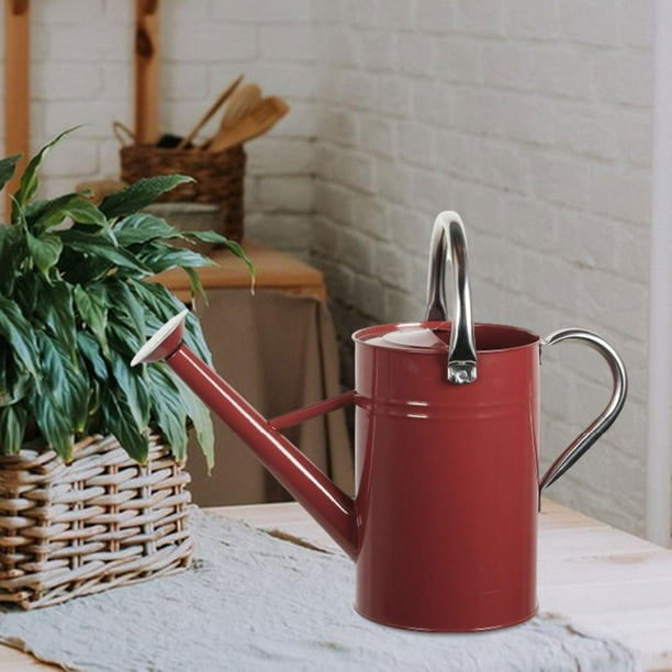 Regadera de metal para plantas de exterior e interior con boquilla ...