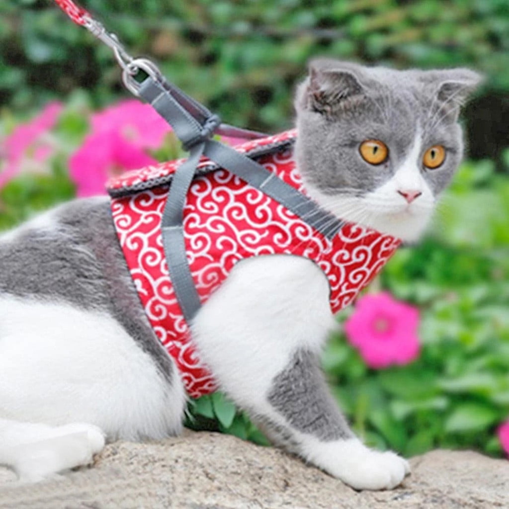 LSLJS Cat Harness and Leash for Walking, Escape Proof Soft Adjustable ...