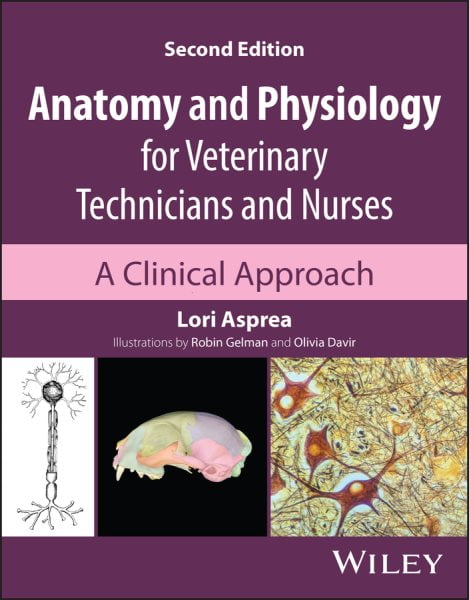 Pre-Owned Lori Asprea Anatomy and Physiology for Veterinary Technicians ...