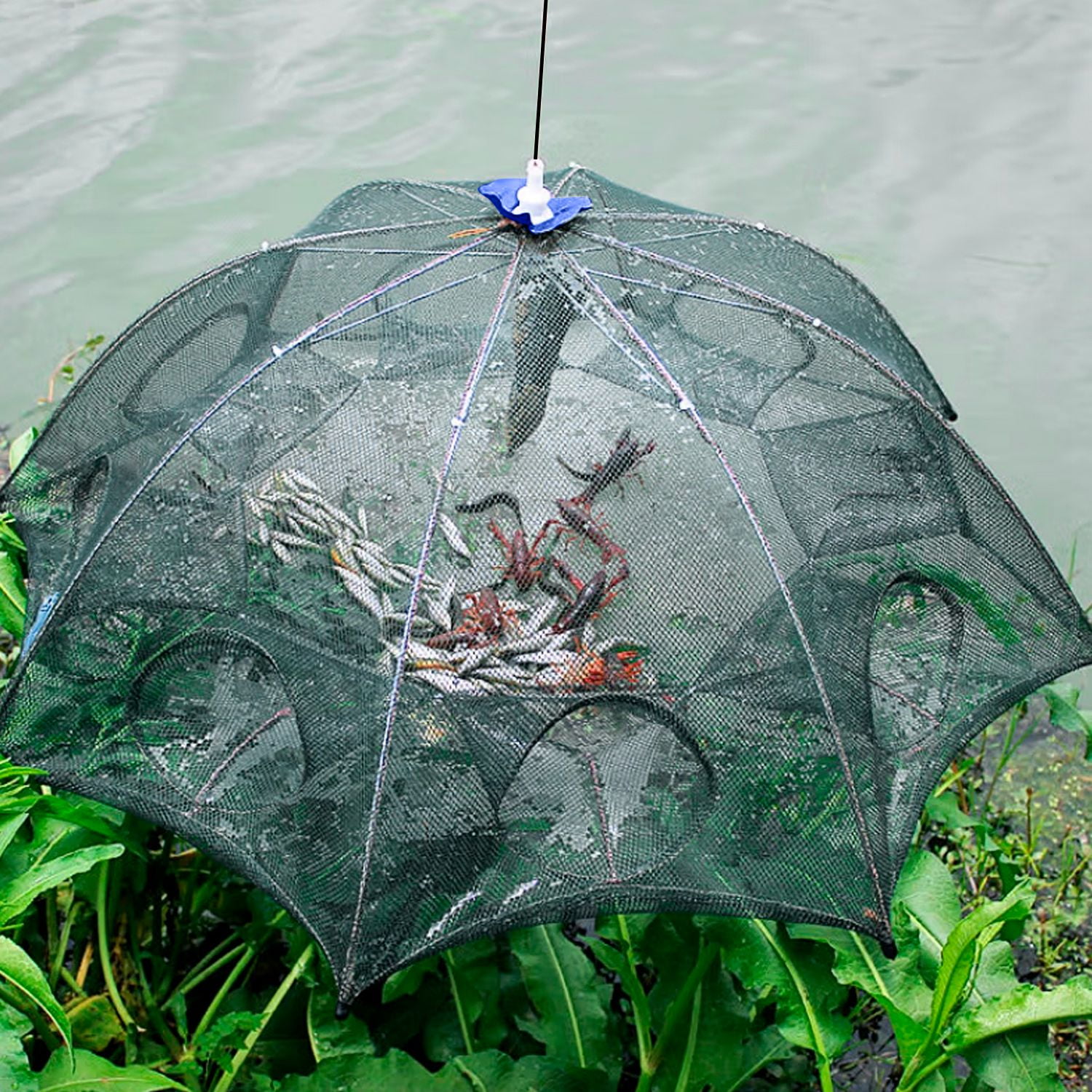 Fishing Bait Foldable Net, iMounTEK Crab Shrimp Crawfish Trap Cast Net ...