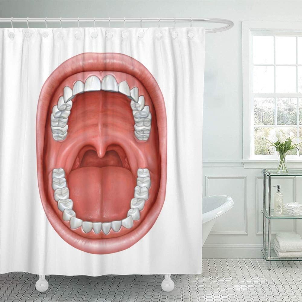 PKNMT Red Uvula Anatomy of The Mouth Digital Cavity Oral Tooth ...