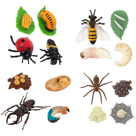 4 Sets Insect Figurines Life Cycle Figurines of Bee Spider Ladybug ...