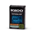 Igloo MaxCold Natural Ice 2 Pack (5" x 7" x1" per sheet) - Walmart.com