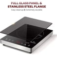 Portable Induction Cooktop, High End Full Glass Induction Burner with ...