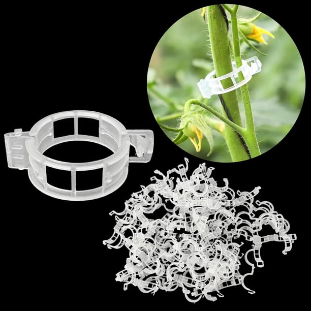 Qucyy Plant Support Clips, 100PCS Plant Clips for Climbing Plants Clear ...