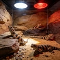 Reptile Heat Lamp Bulb, 75W Day & Night Basking Spot Light Combo Pack ...