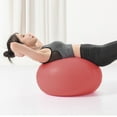 red Exercise Ball Extra Thick Professional Grade Balance & Stability ...
