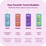 OLLY Limited Edition Variety Pack Body Care Gift Set Mini Body Wash, 4 ...