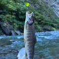 30Pcs Float Bobbers Buoys EVA Fishing Bobbers With Slow Swimming Action ...