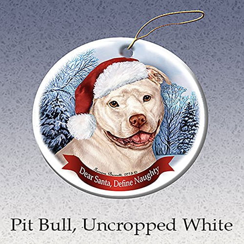 Pitbull With Santa Hat