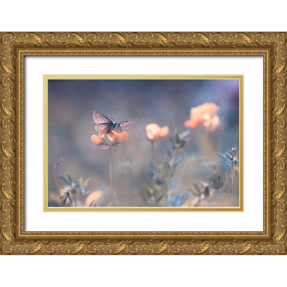 Bravin, Fabien 24x17 Gold Ornate Wood Framed with Double Matting Museum ...