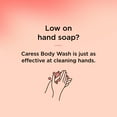 Caress Pampering Women's Shower Gel Hydrating Body Wash Daily Silk 18 ...