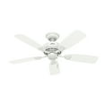 Hunter 44" Caraway Snow White Ceiling Fan with Light Kit and Pull Chain ...