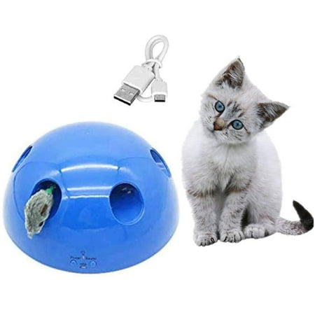 Automatic Interactive Cat Toys for Cat, Frolic, Kitten, Mouse, Plush ...