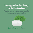 Healthy Living Mini Lozenge, Stop Smoking Aid, 4 mg Mint, 135 Count ...