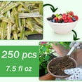 250 Pack 8 oz Natural Biodegradable Sugarcane Bowls, White Small ...