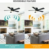 Smart Ceiling Fans with Lights,52 Inch Low Profile Black Ceiling Fan ...