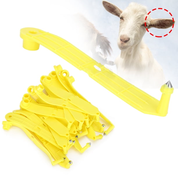 Idetification Ear Tag, Mark Livestock Ear Tag, For Cattle Ear Animals ...