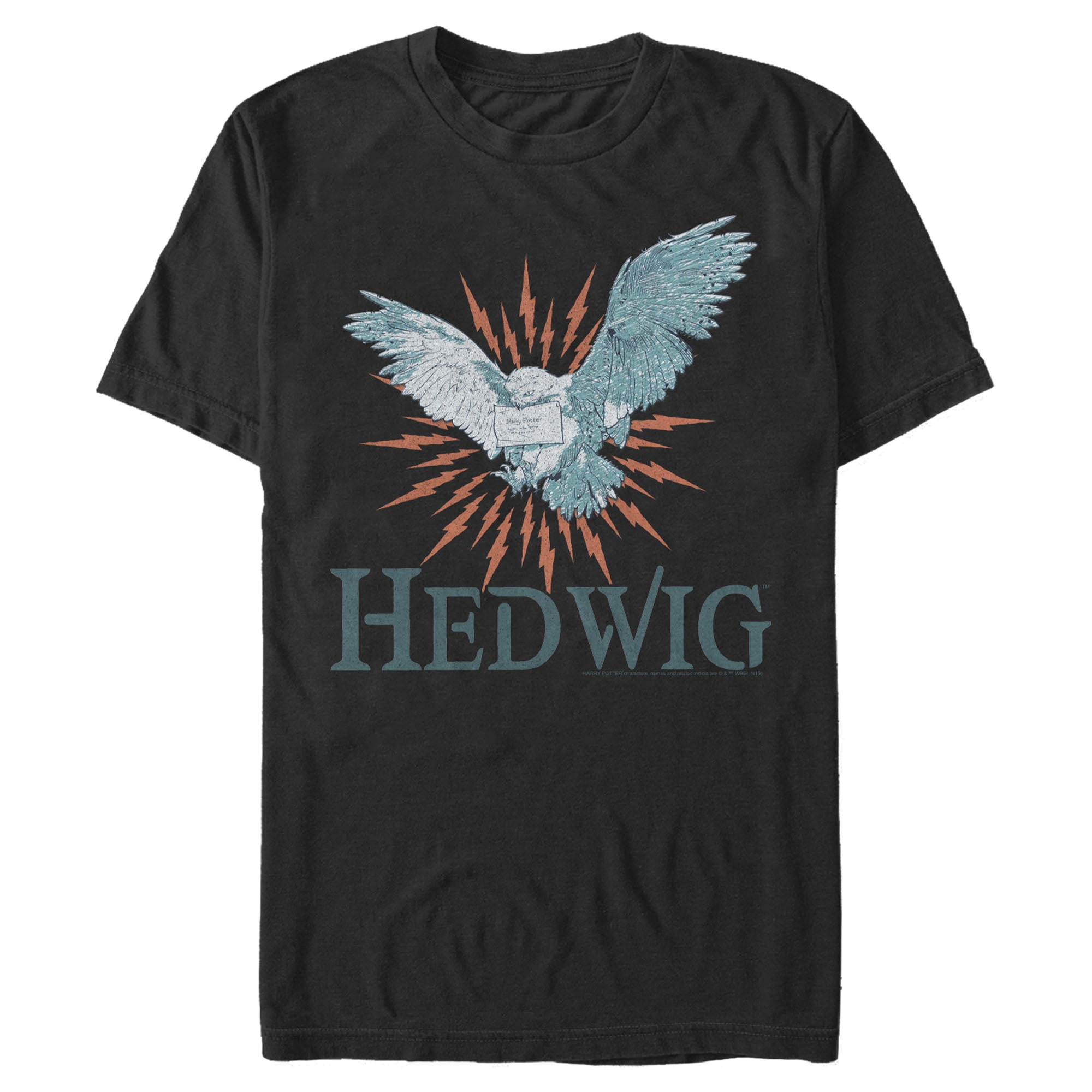 Men's Harry Potter Hedwig Owl Flight Graphic Tee Black 3X Large ...