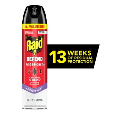 Raid Ant, Roach and Bug Killer, Essential Oils Infused Insecticide ...