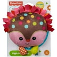 Fisher-Price Giggle Gang Happy Soft & Huggable Hedgehog - Walmart.com
