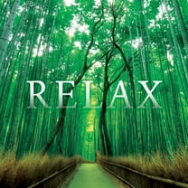 Relaxing Spa Music CD for Calming Sounds, 2 Count - Walmart.com